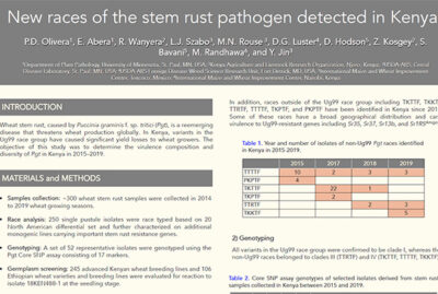 BGRI 2021 Technical Workshop Poster Session - BGRI - Borlaug Global Rust Initiative