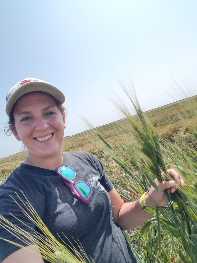 Amanda Peters Haugrud - BGRI - Borlaug Global Rust Initiative