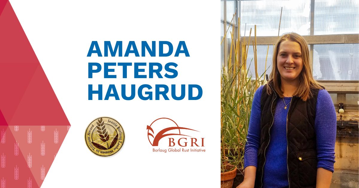 Amanda Peters Haugrud - BGRI - Borlaug Global Rust Initiative