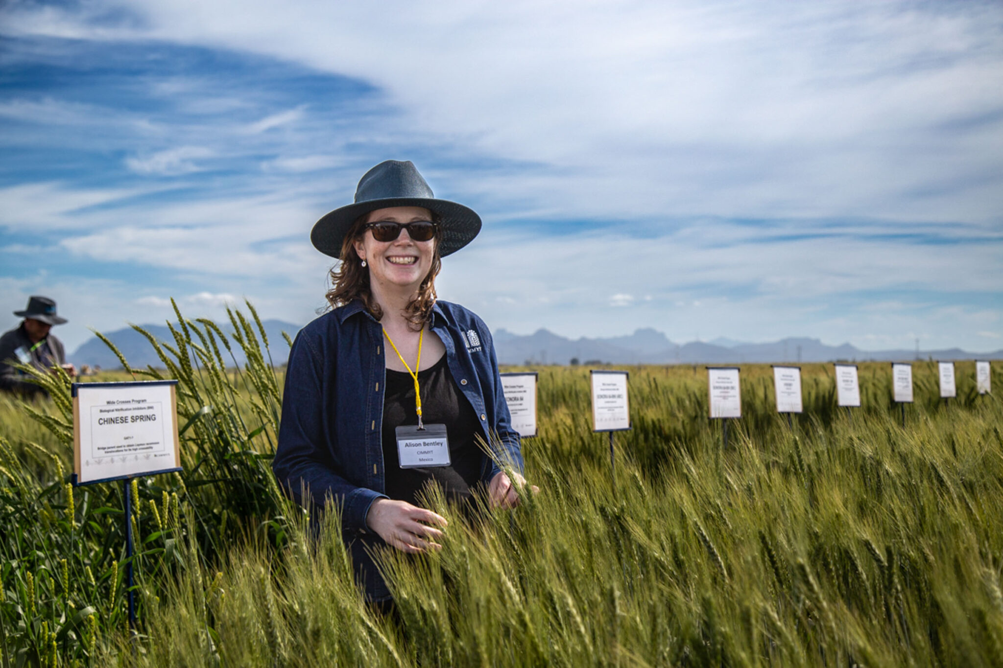 CIMMYT global wheat program leader Alison Bentley wins 2023 CAST ...