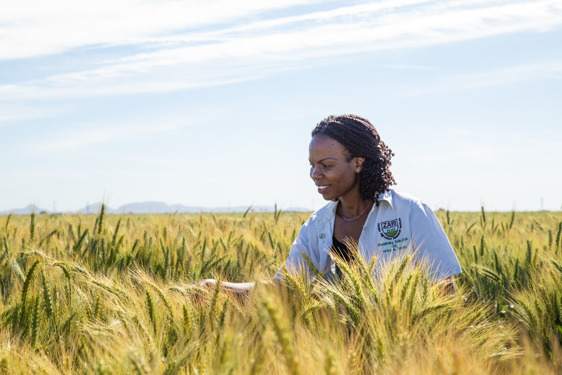 Research - BGRI - Borlaug Global Rust Initiative