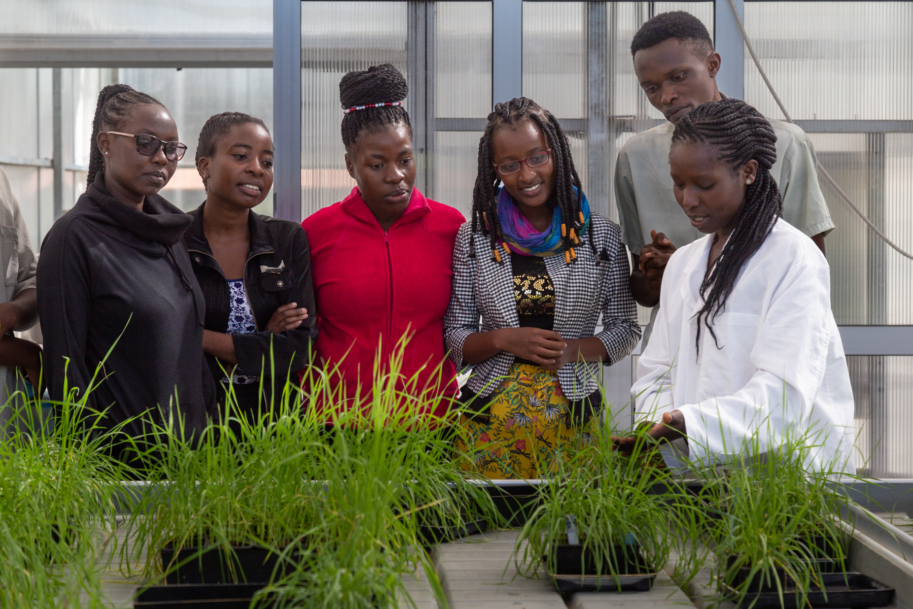 Training - BGRI - Borlaug Global Rust Initiative