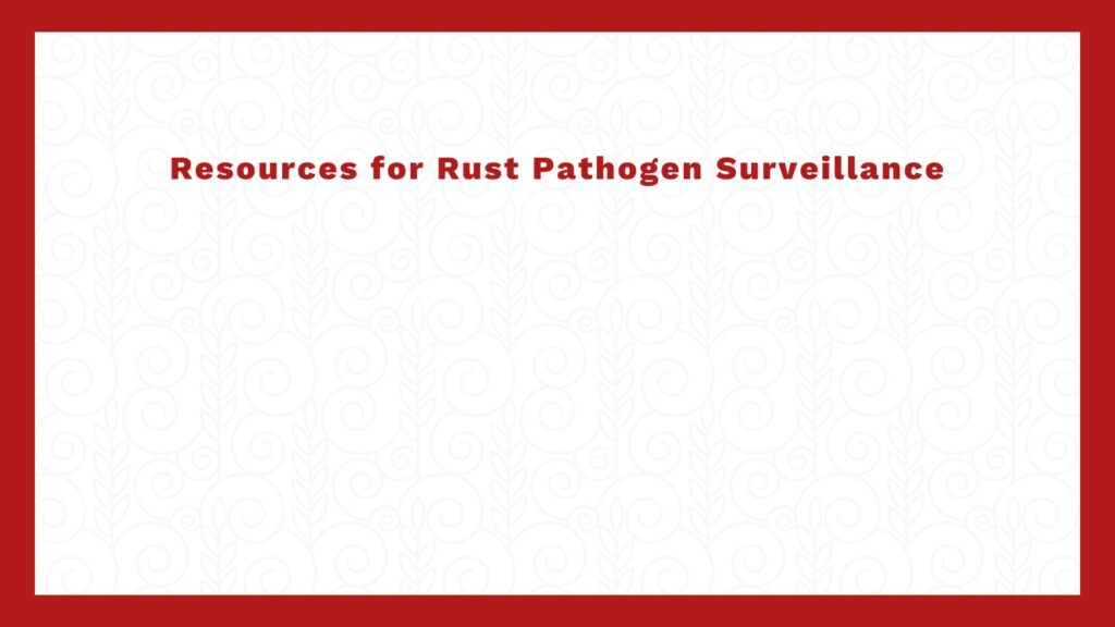 The Art and Science of Rust Pathology and Applied Plant Breeding - BGRI - Borlaug Global Rust ...