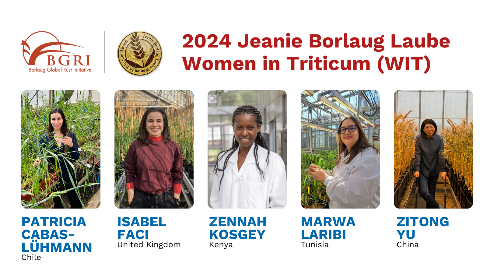 Borlaug Global Rust Initiative announces 2024 Women in Triticum (WIT) awardees - BGRI - Borlaug ...