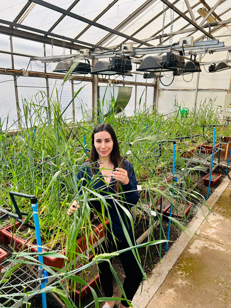 Patricia Cabas-Lühmann - BGRI - Borlaug Global Rust Initiative