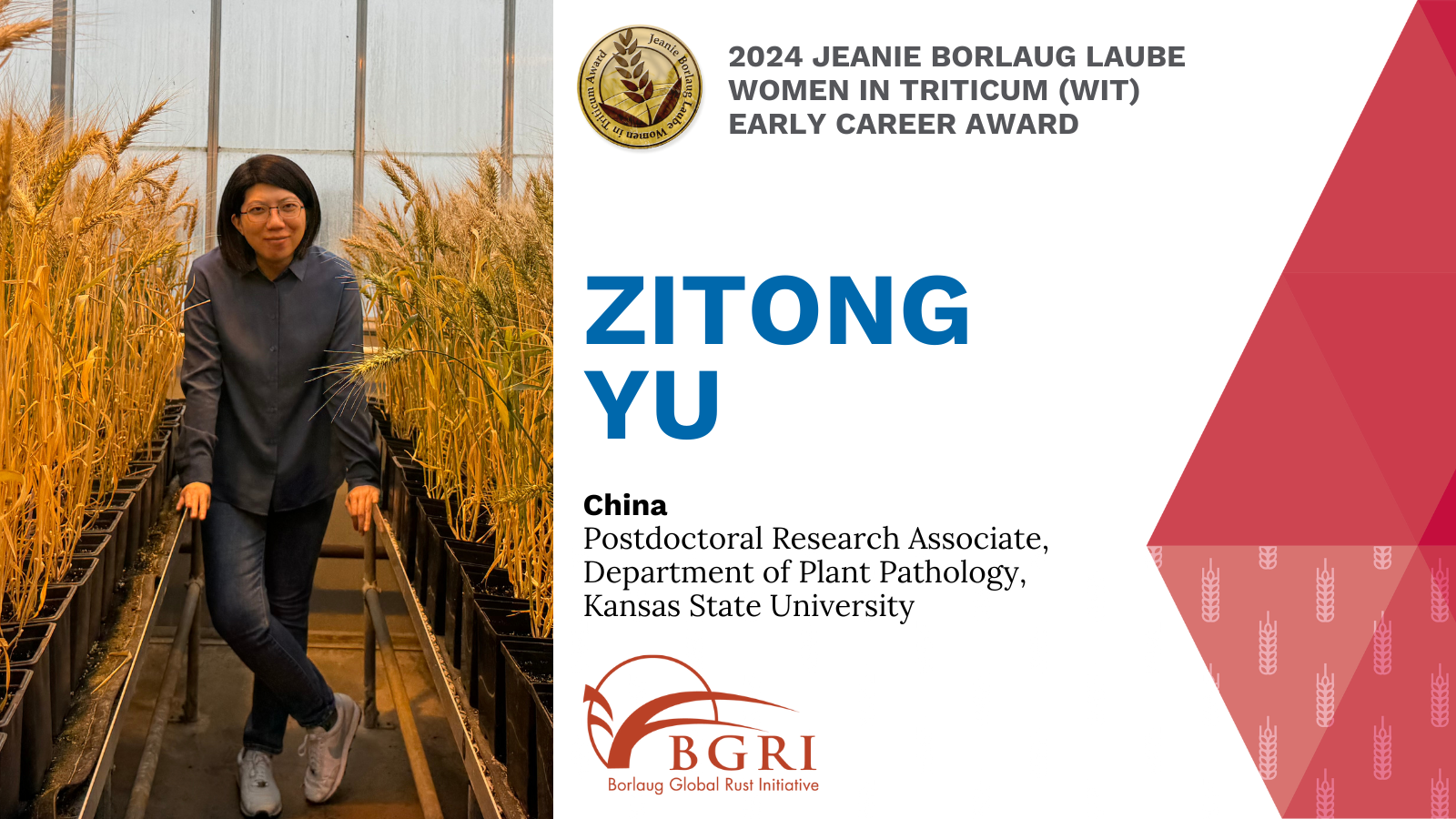 Zitong Yu - BGRI - Borlaug Global Rust Initiative