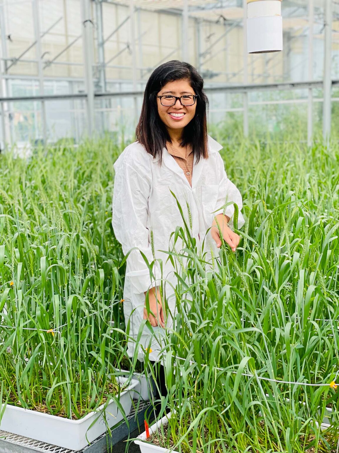 Dhondup Lhamo - BGRI - Borlaug Global Rust Initiative