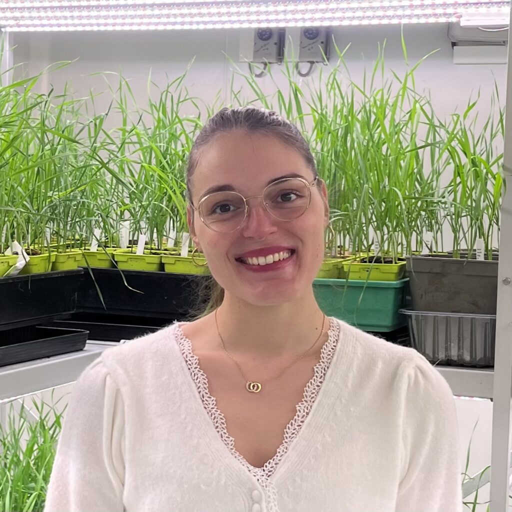 Laura Mathieu - BGRI - Borlaug Global Rust Initiative