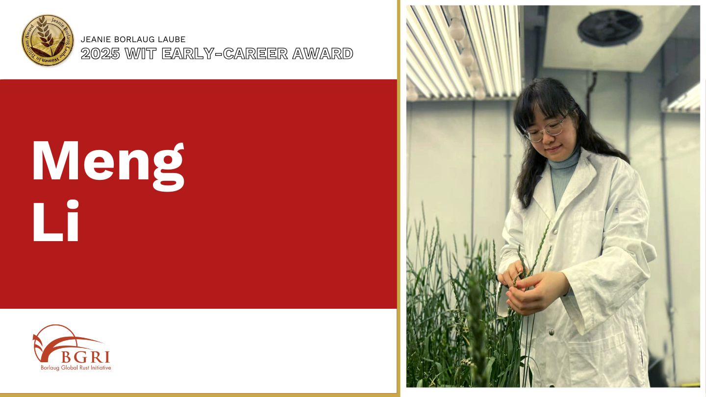 Meng Li - BGRI - Borlaug Global Rust Initiative